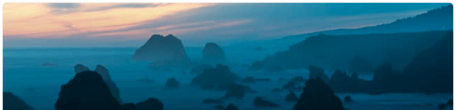 Microsoft Bing Homepage Quiz Answers (Nov 24, 2024)